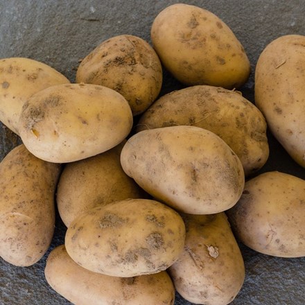 Buy Potatoes: