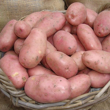 Buy Potatoes:
