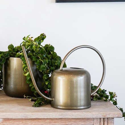 Buy Watering cans: